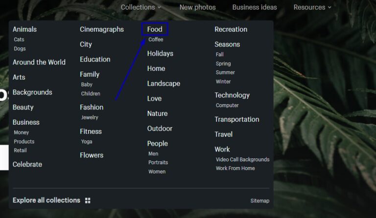 Burst By Shopify Review: The Best Free Stock Photo Platform?
